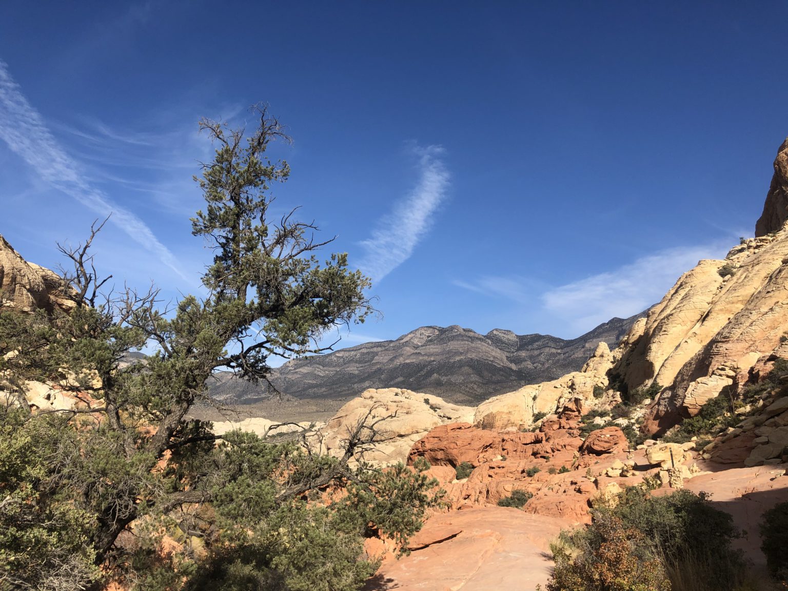 Calico Tanks Hike in Red Rock Canyon | Traveling Mooses