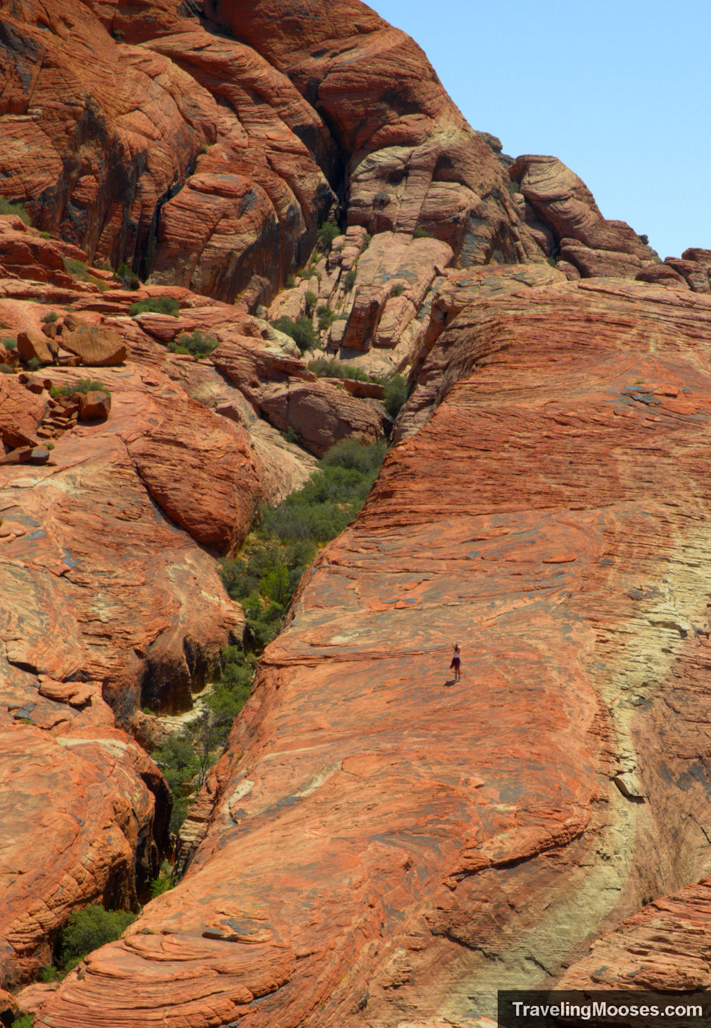 Guardian Angel Pass: A Local’s Hiking Guide