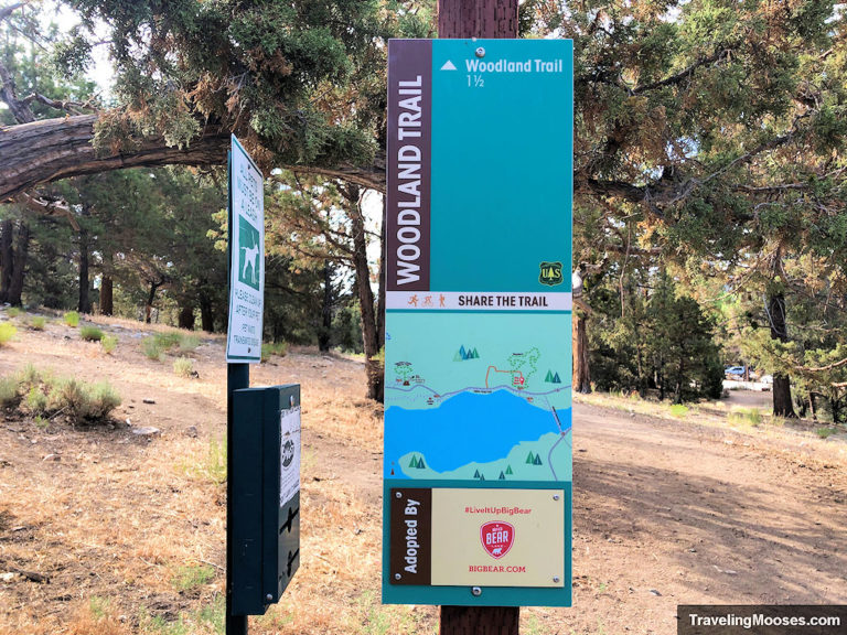 Woodland interpretive trail in Big Bear Lake – a complete guide
