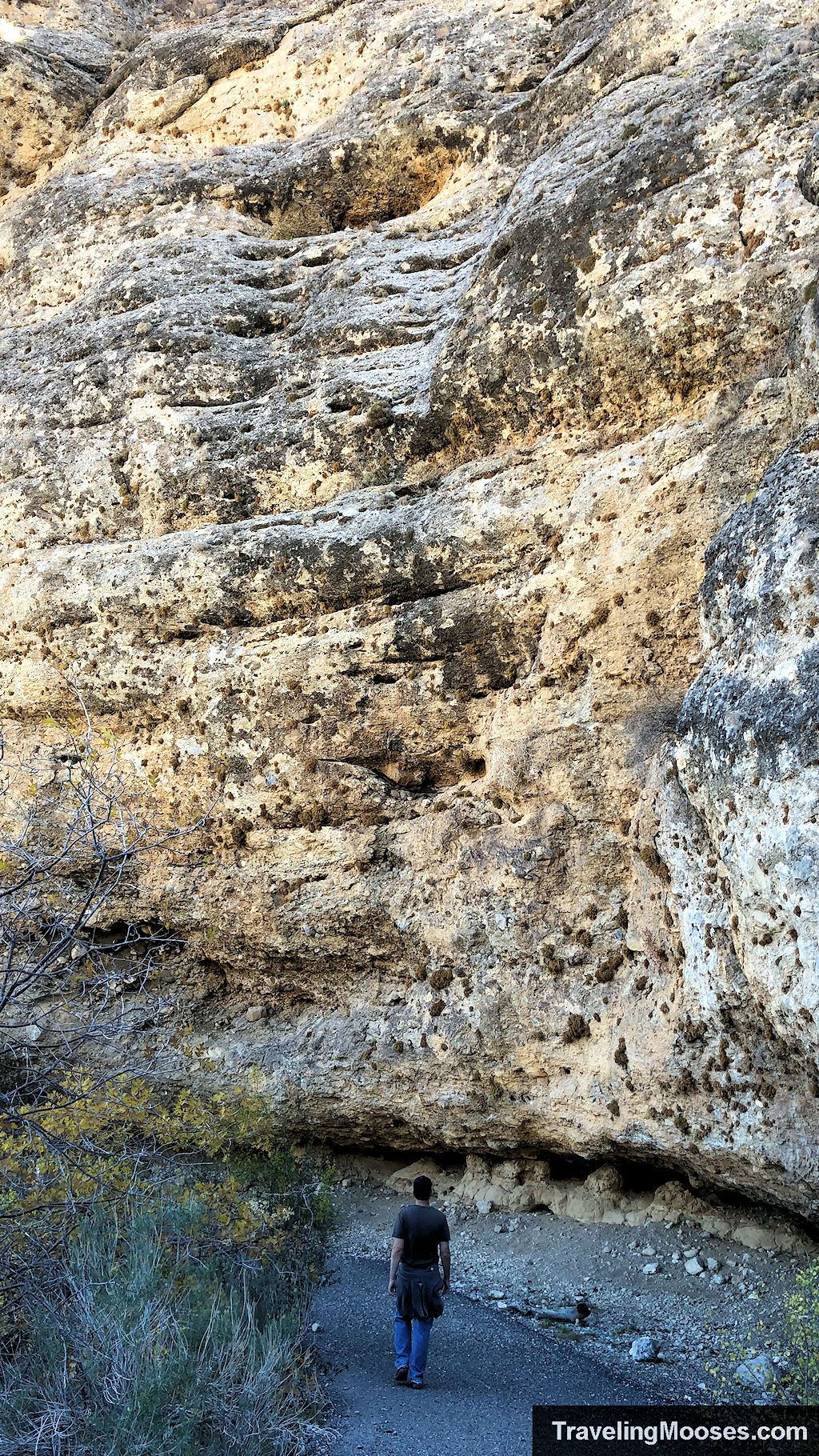 Pack Rat Route Trail, Mount Charleston, Nevada | Traveling Mooses