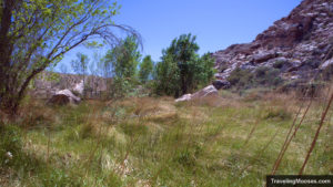 Explore Red Spring Boardwalk, Red Rock Canyon Nevada | Traveling Mooses