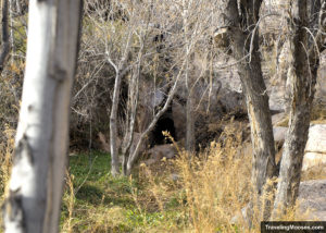Explore Red Spring Boardwalk, Red Rock Canyon Nevada | Traveling Mooses