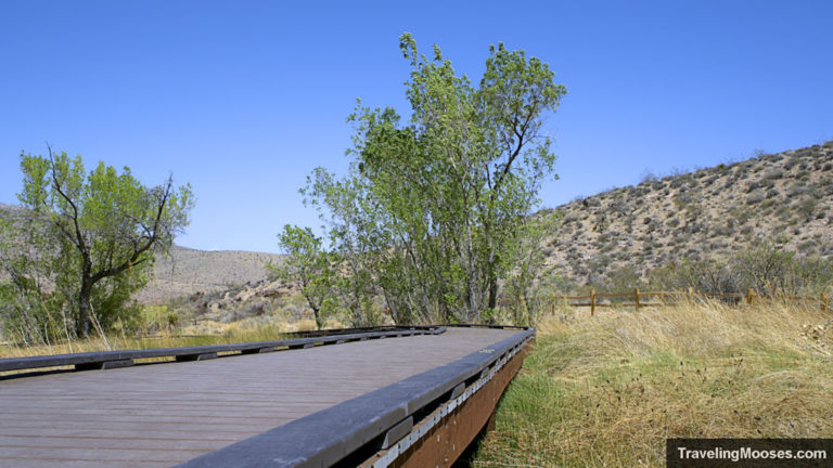 Explore Red Spring Boardwalk, Red Rock Canyon Nevada | Traveling Mooses