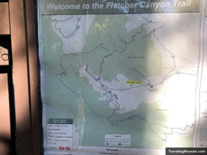 Hiking Fletcher Canyon Trail, Mt Charleston, Nevada – A Local’s Guide