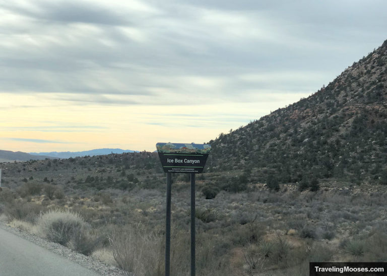 Ice Box Canyon trail: A local’s hiking guide