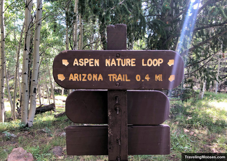 Hiking the Aspen Loop trail in Flagstaff, AZ | Traveling Mooses