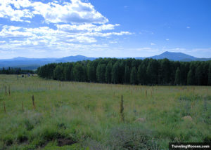 Aspen Loop Trail Review: Flagstaff, AZ | Traveling Mooses