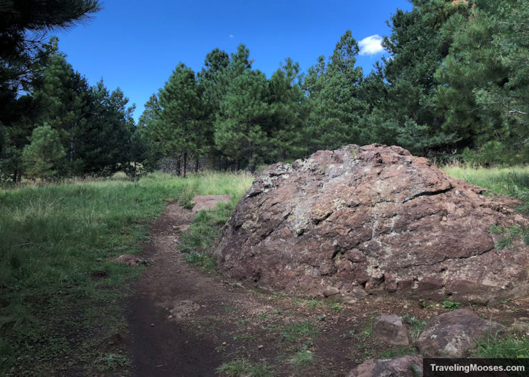 Hiking the Aspen Loop trail in Flagstaff, AZ | Traveling Mooses