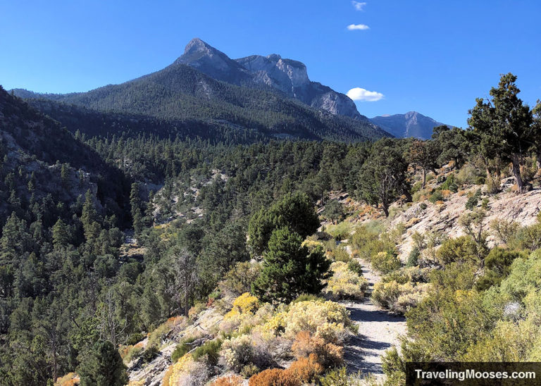 Lee Canyon Narrows from Blue Tree Trail | Traveling Mooses