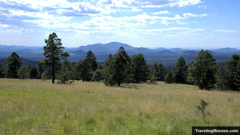 Hiking the Aspen Loop trail in Flagstaff, AZ | Traveling Mooses