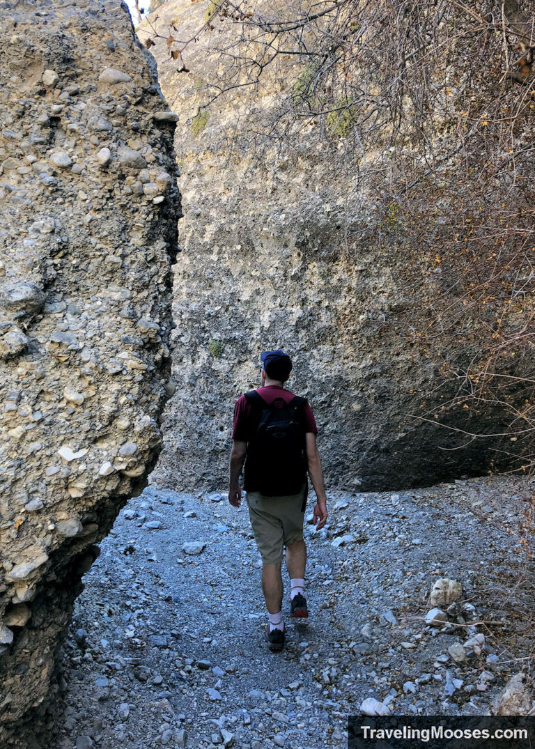 Lee Canyon Narrows from Blue Tree Trail | Traveling Mooses