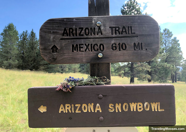 Hiking the Aspen Loop trail in Flagstaff, AZ | Traveling Mooses