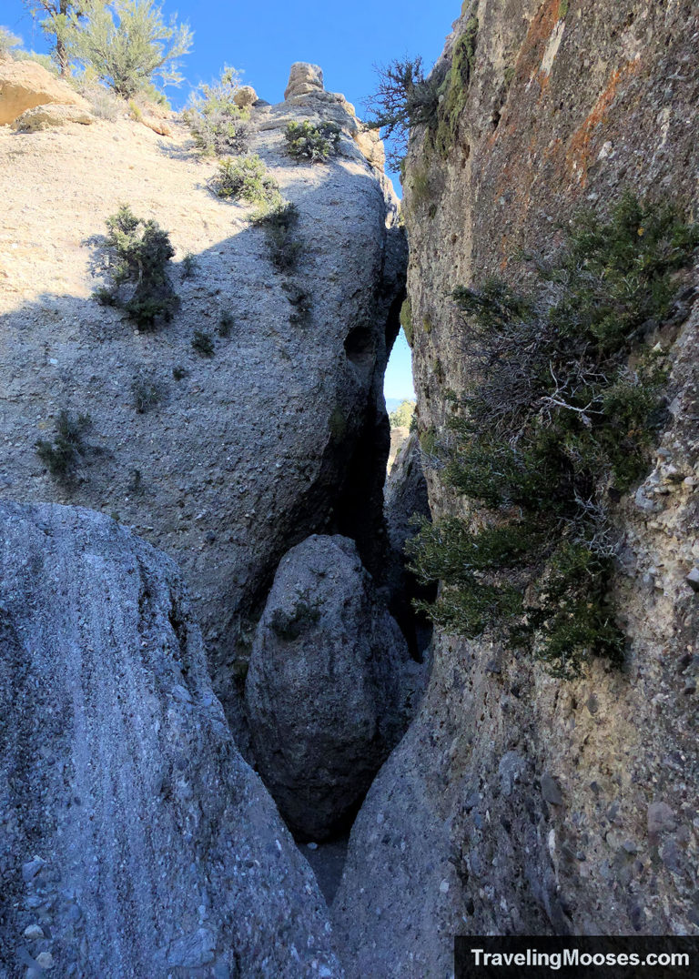 Lee Canyon Narrows from Blue Tree Trail | Traveling Mooses