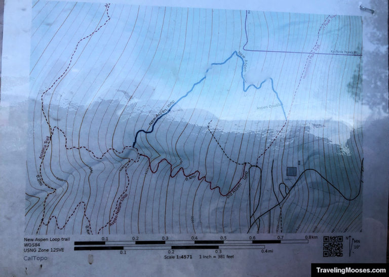 Hiking the Aspen Loop trail in Flagstaff, AZ | Traveling Mooses