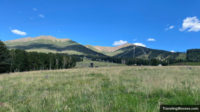 Hiking the Aspen Loop trail in Flagstaff, AZ | Traveling Mooses