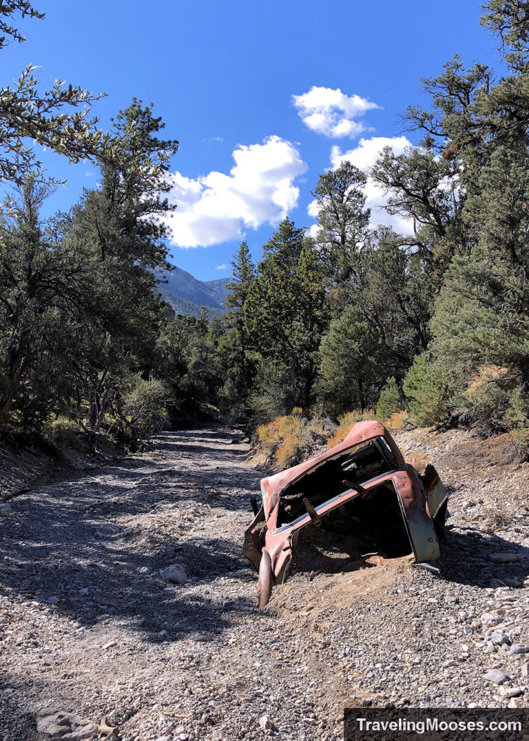 Lee Canyon Narrows from Blue Tree Trail | Traveling Mooses
