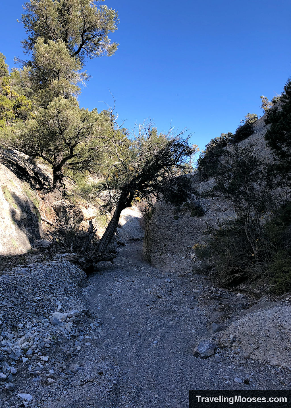 Lee Canyon Narrows from Blue Tree Trail | Traveling Mooses