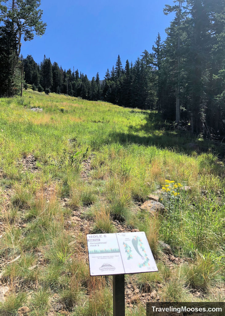 Arizona Snowbowl Disc Golf - A Players Guide