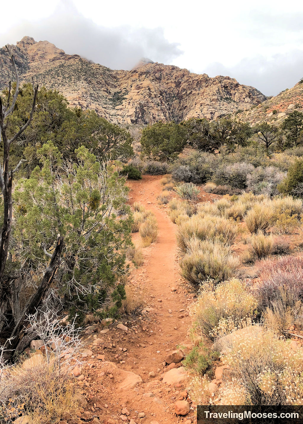 Hiking White Rock Mountain Loop Trail - Red Rock Canyon
