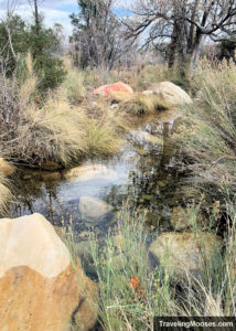 First Creek Canyon Trail - finding the hidden waterfall