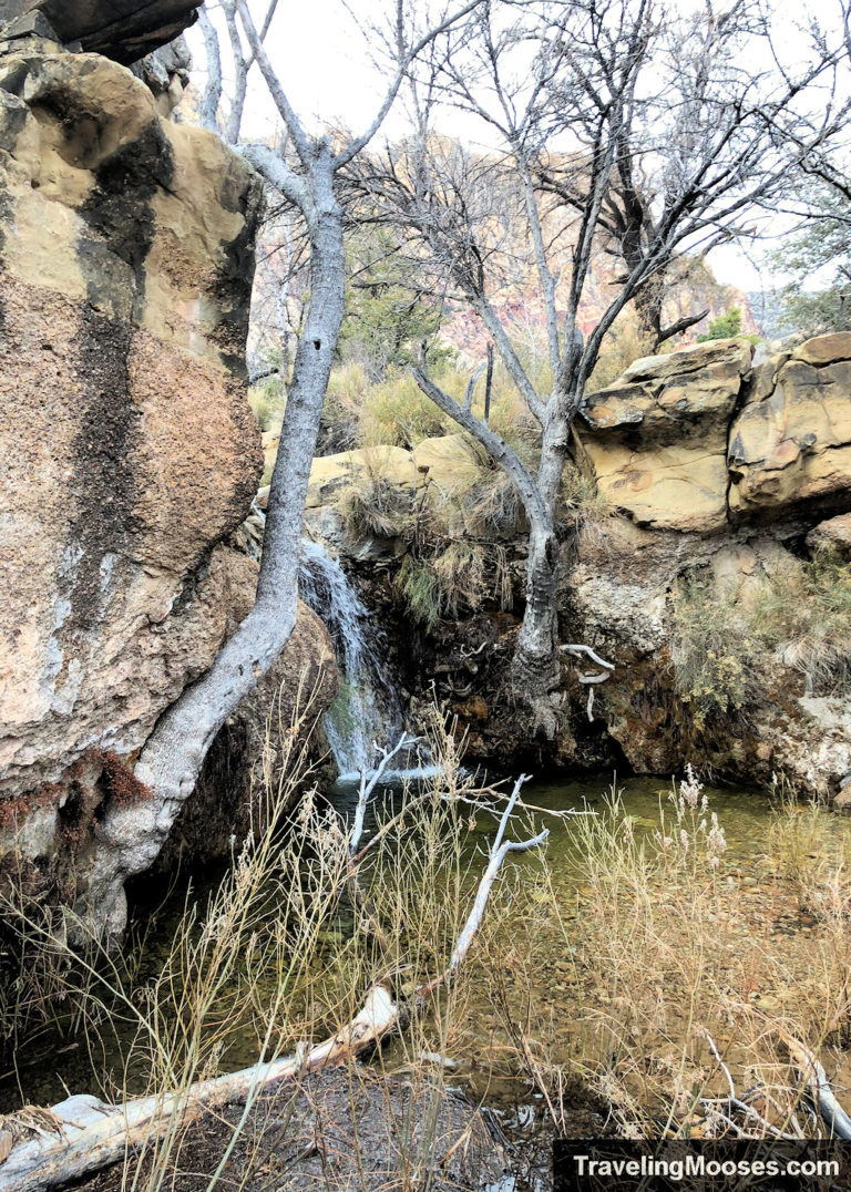 First Creek Canyon Trail - finding the hidden waterfall
