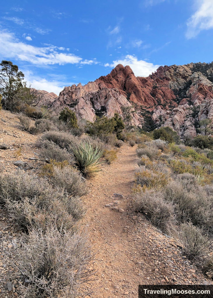 Hiking White Rock Mountain Loop Trail - Red Rock Canyon