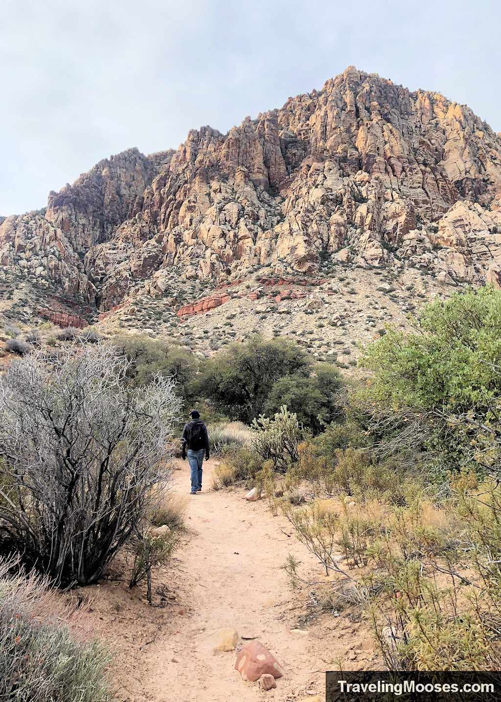 First Creek Canyon Trail - finding the hidden waterfall