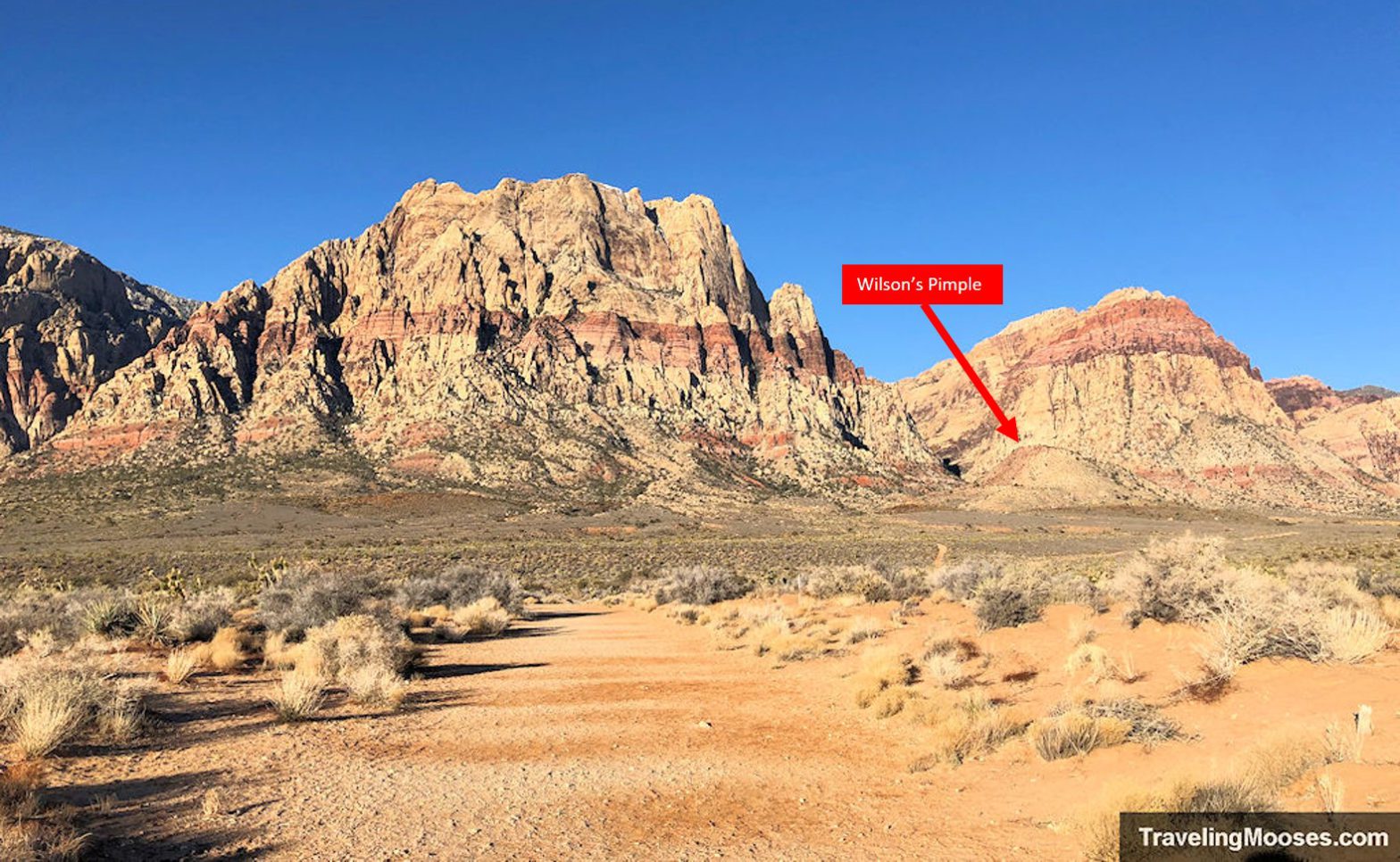 Exploring Wilson’s Pimple Loop - Red Rock Canyon