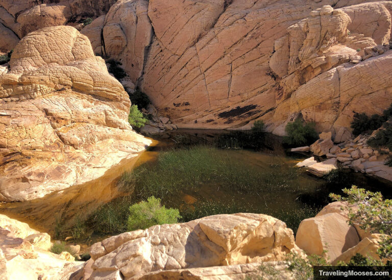 Calico Tanks Hike in Red Rock Canyon | Traveling Mooses