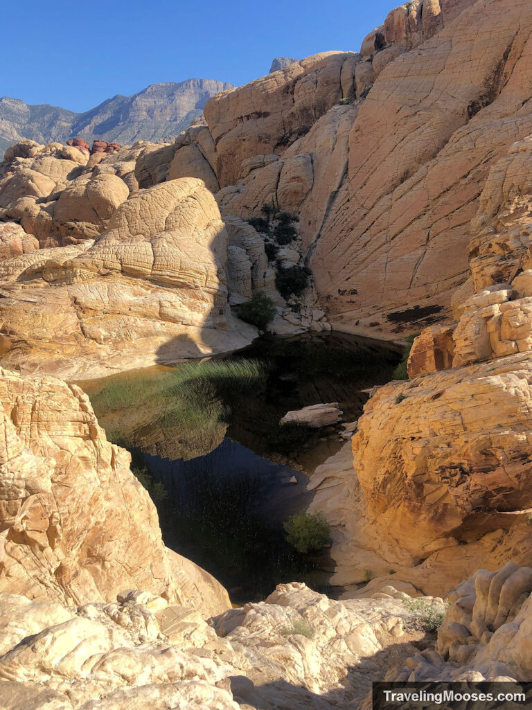Calico Tanks Trail: A Short Climb to One of Red Rock’s Best Surprises ...
