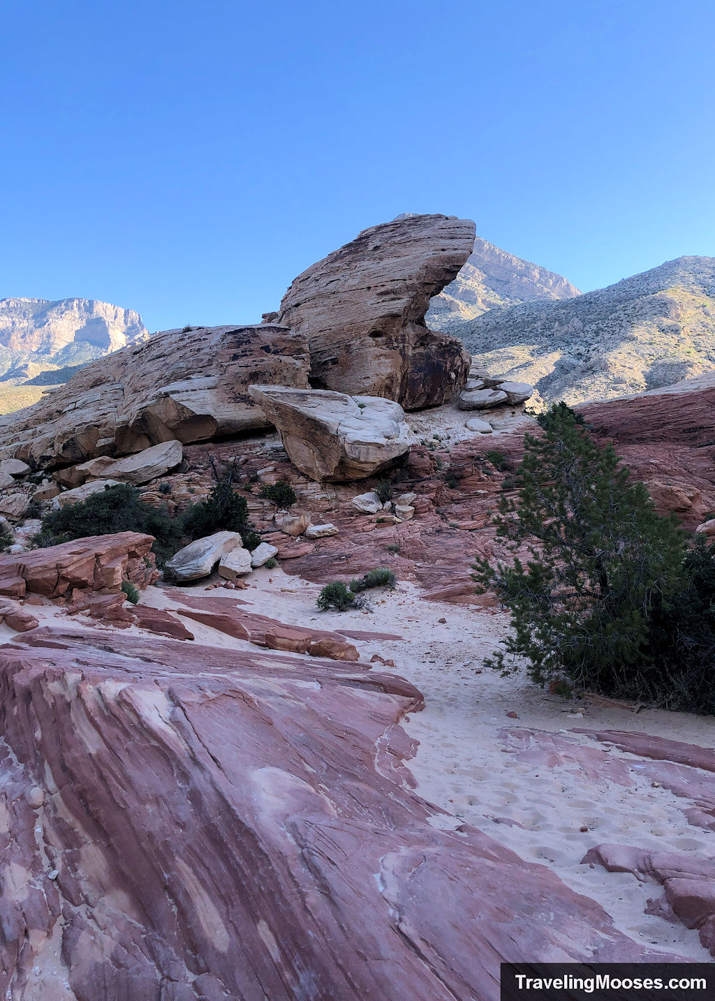 Calico Tanks Hike in Red Rock Canyon | Traveling Mooses