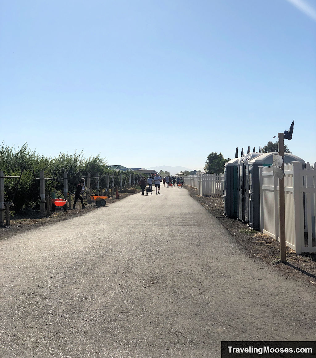 A fun filled day at Gilcrease Orchard | Traveling Mooses