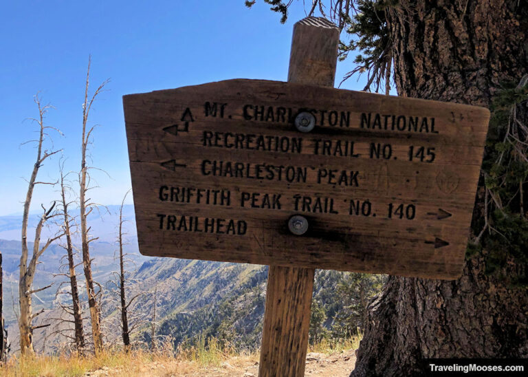Hiking Griffith Peak: What It’s Really Like (Local Tips + Trail Guide)