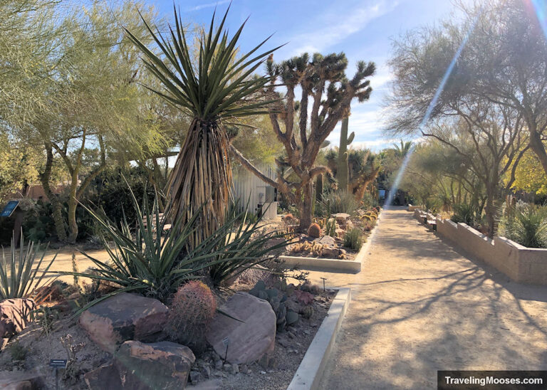 What makes the Springs Preserve a must-see in Las Vegas? | Traveling Mooses