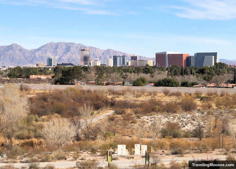 What makes the Springs Preserve a must-see in Las Vegas? | Traveling Mooses