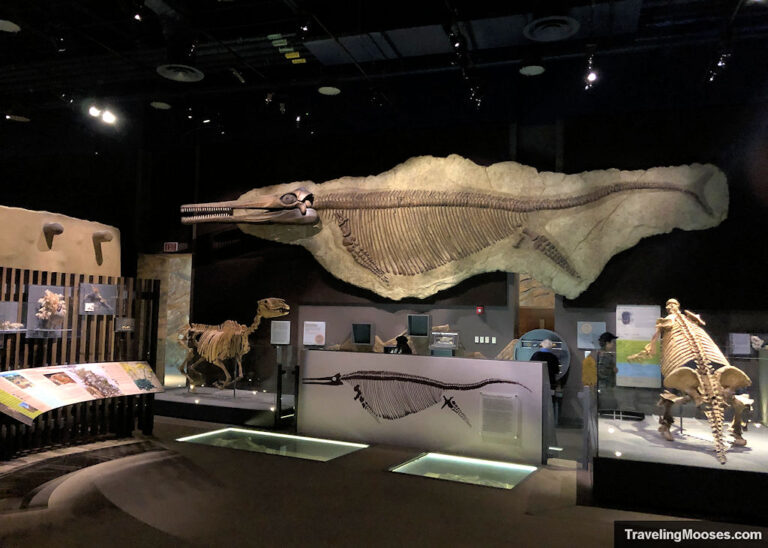 What makes the Springs Preserve a must-see in Las Vegas? | Traveling Mooses