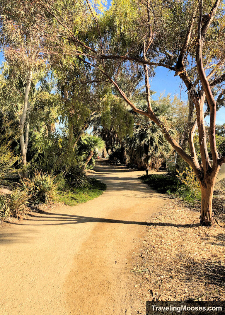 What makes the Springs Preserve a must-see in Las Vegas? | Traveling Mooses