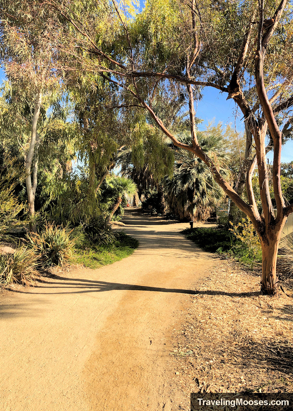 What makes the Springs Preserve a must-see in Las Vegas? | Traveling Mooses