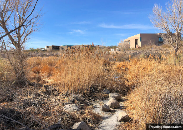 What makes the Springs Preserve a must-see in Las Vegas? | Traveling Mooses