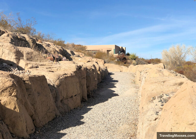 What makes the Springs Preserve a must-see in Las Vegas? | Traveling Mooses