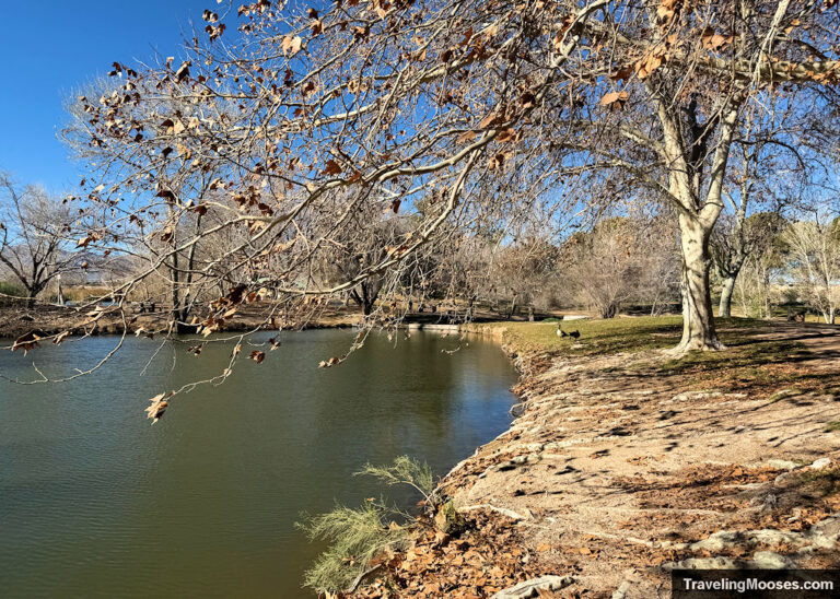 Floyd Lamb Park Review (Las Vegas): Is the Park Worth Visiting?