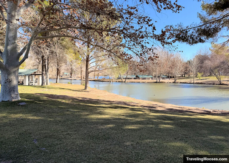 Floyd Lamb Park Review (Las Vegas): Is the Park Worth Visiting?