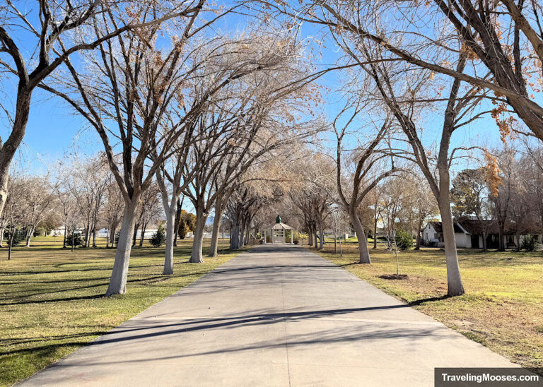 Floyd Lamb Park Review (Las Vegas): Is the Park Worth Visiting?